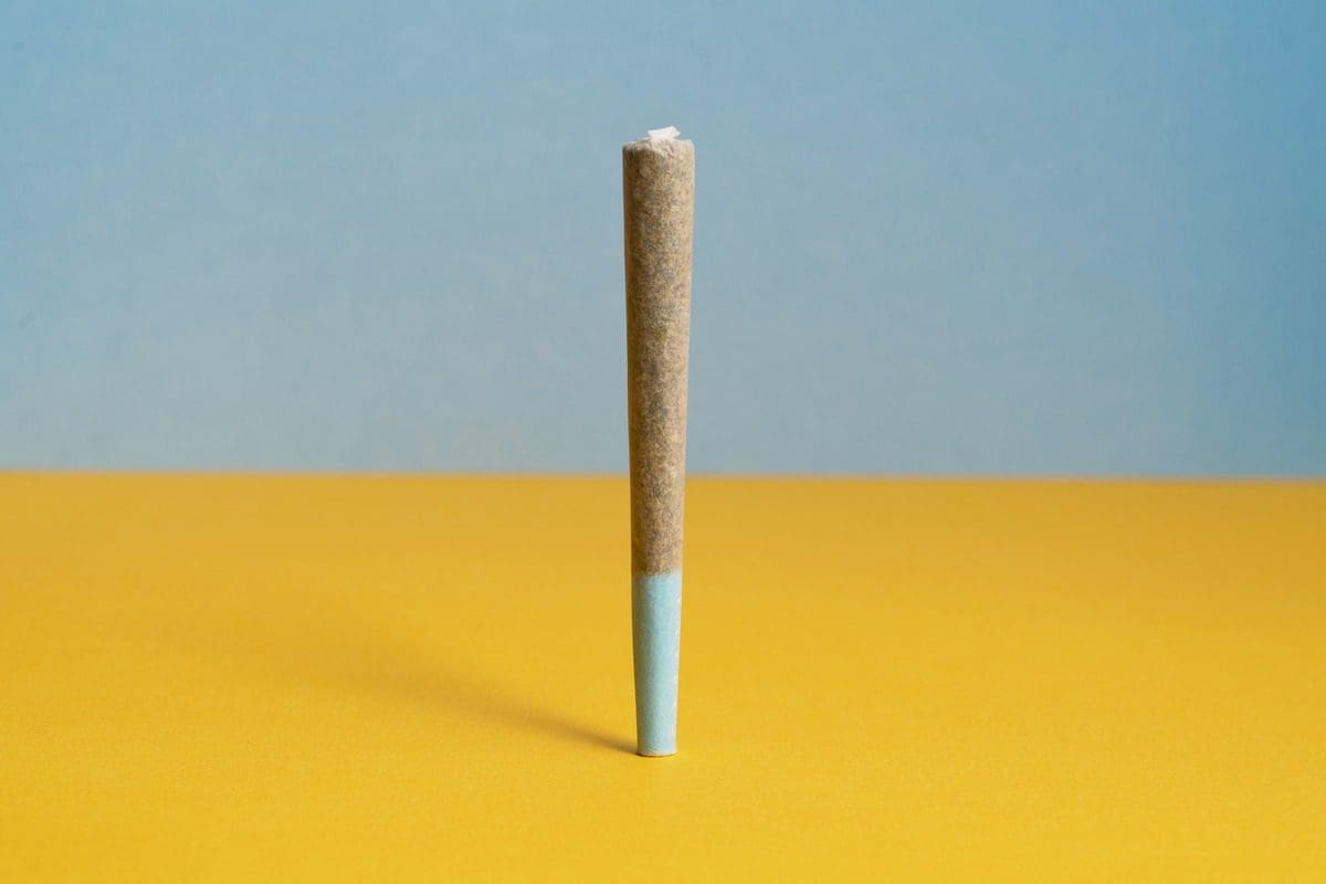 What Are Pre Rolls? A Beginner’s Guide to Cannabis Pre Rolled Joints ...