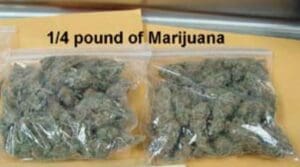 Understanding A Quarter of Weed | My Marijuana Cards