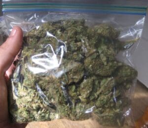 Understanding A Quarter of Weed | My Marijuana Cards